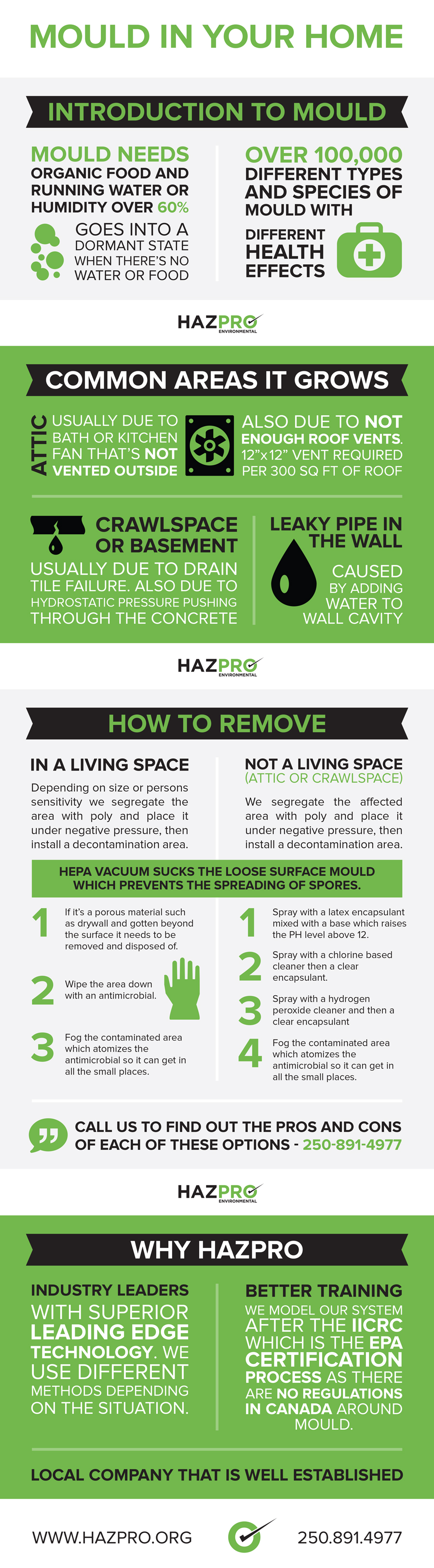 Infograph Design - Star Graphic Design